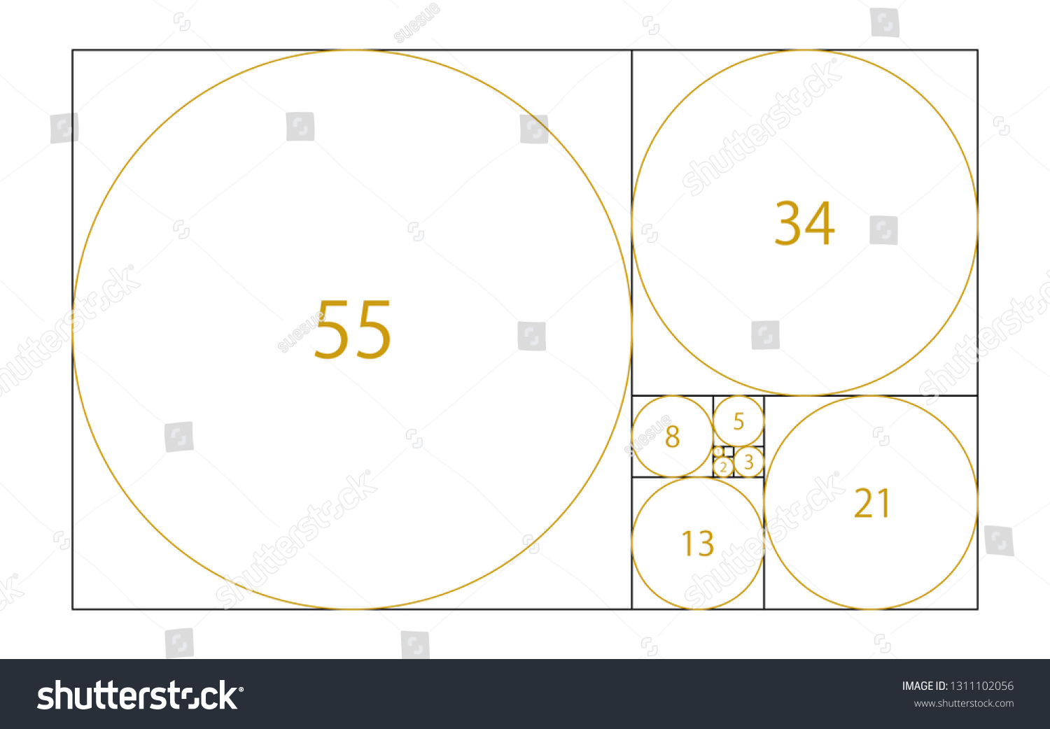 Illustration Fibonacci Sequence: เวกเตอร์สต็อก (ปลอดค่าลิขสิทธิ์ ...