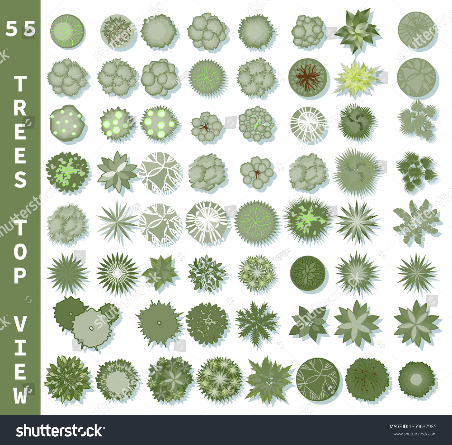 Tree Top View Vector Png