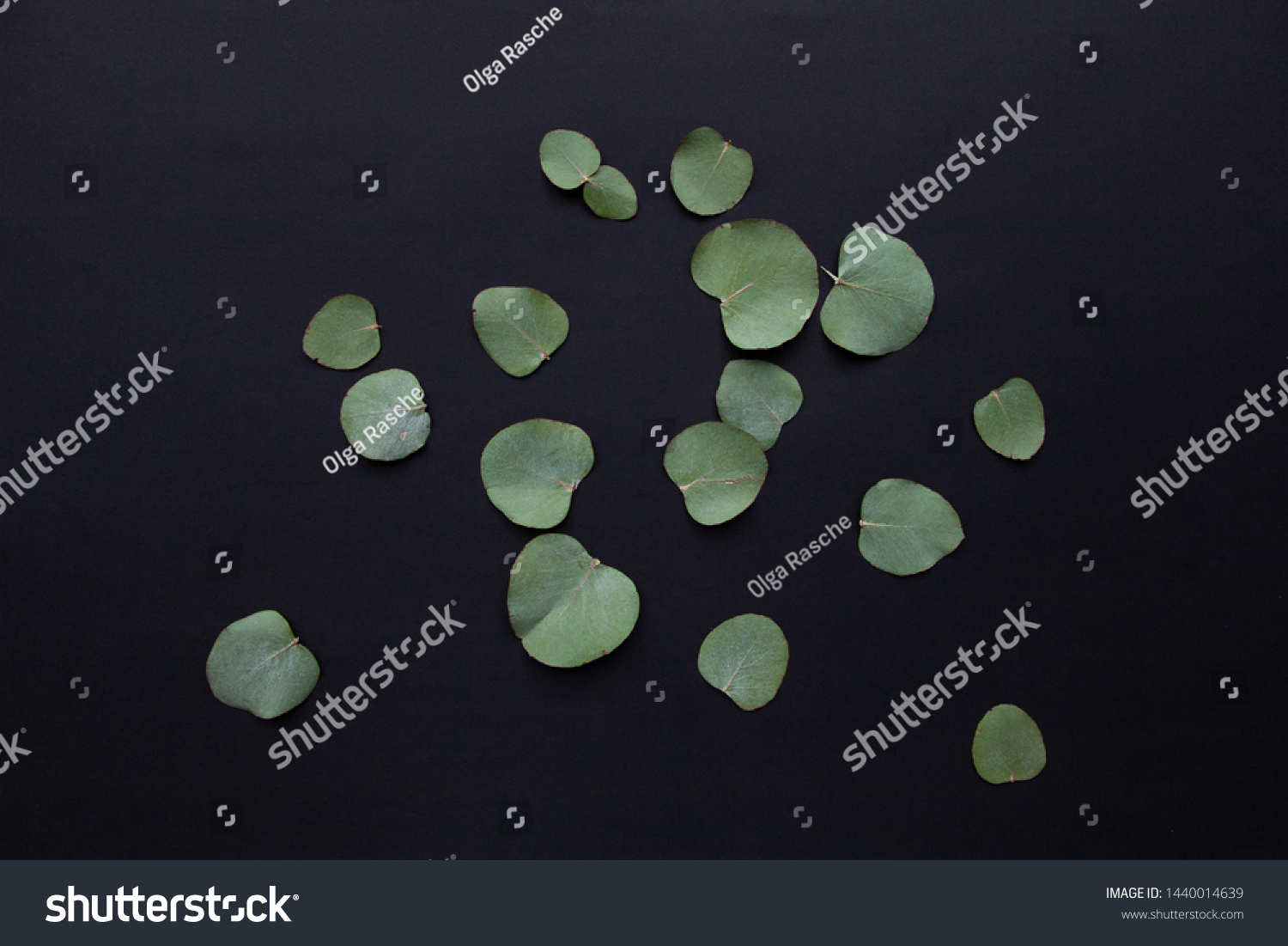 2 Oleum Eucalypti Images, Stock Photos, 3D objects, & Vectors ...