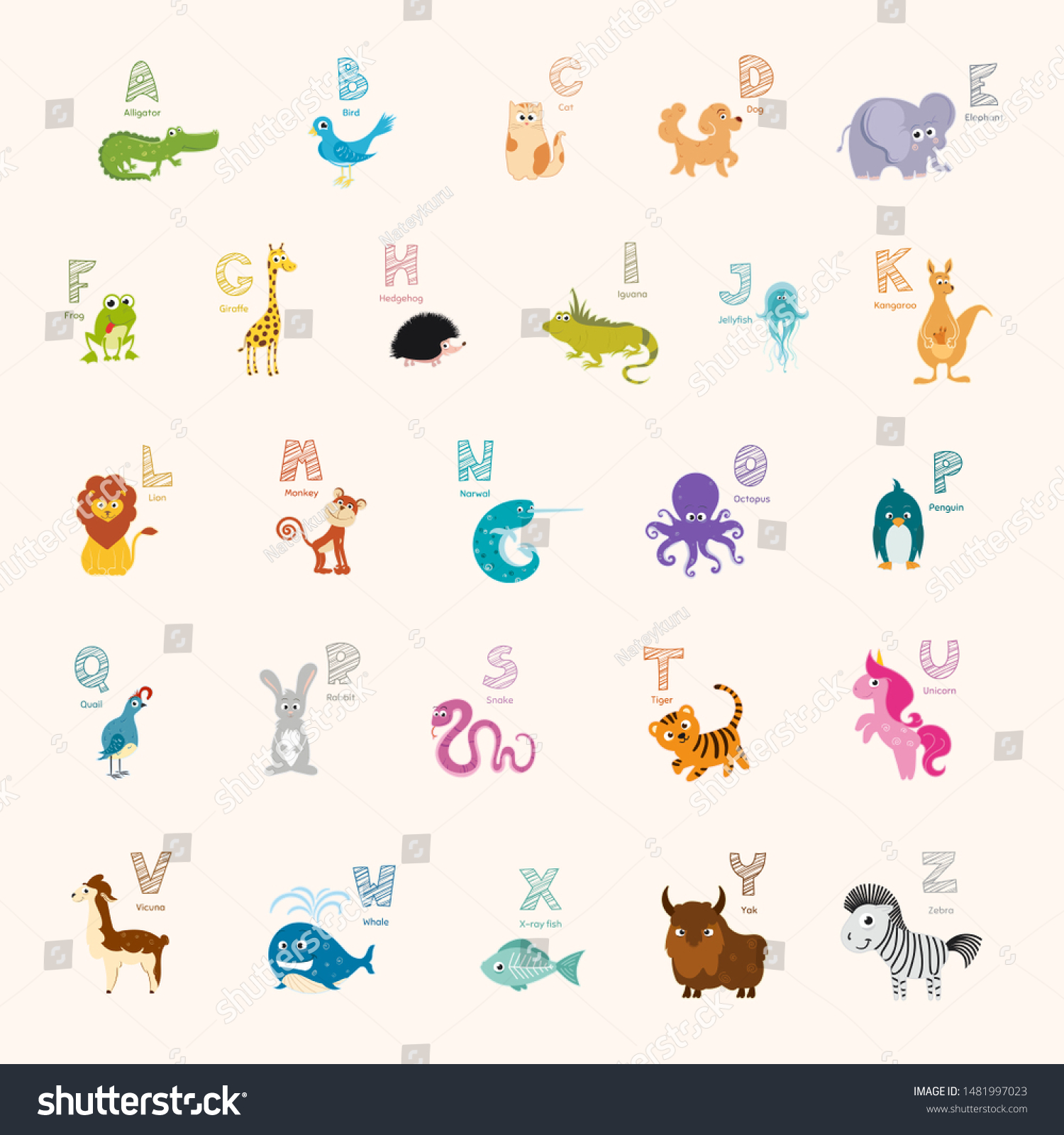 Animal Zoo Alphabet Z Abc Letters 库存矢量图（免版税）1481997023 | Shutterstock