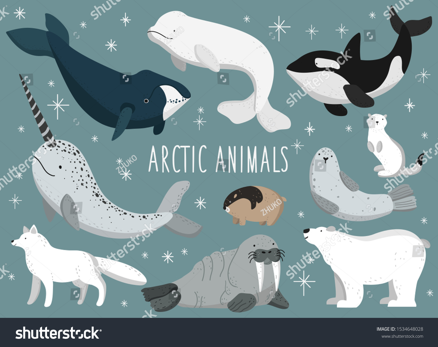 373 Killer Whale Polar Bear Images, Stock Photos & Vectors | Shutterstock