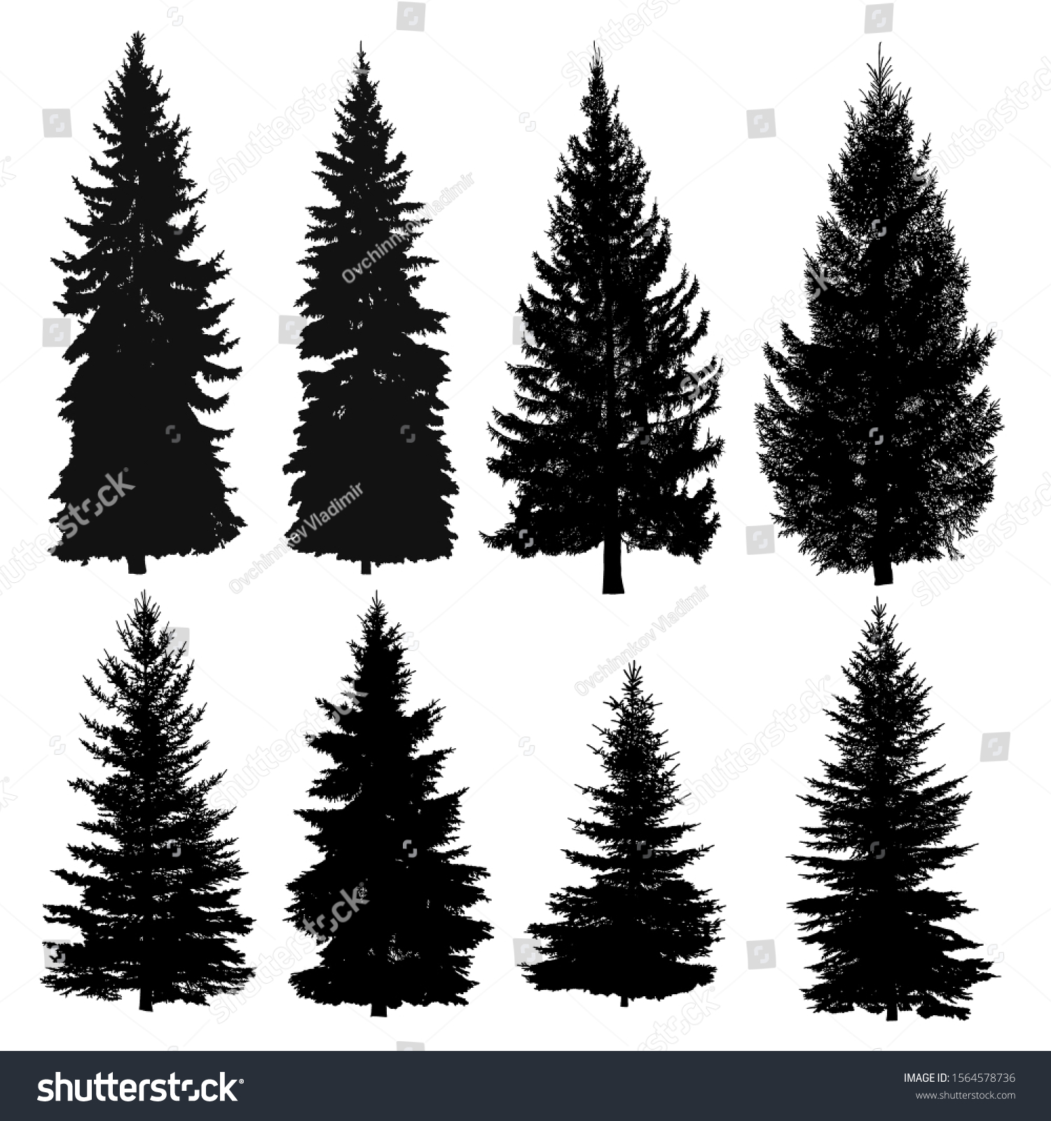Set Silhouettes Pine Trees Fir Trees Stock Vector (Royalty Free ...