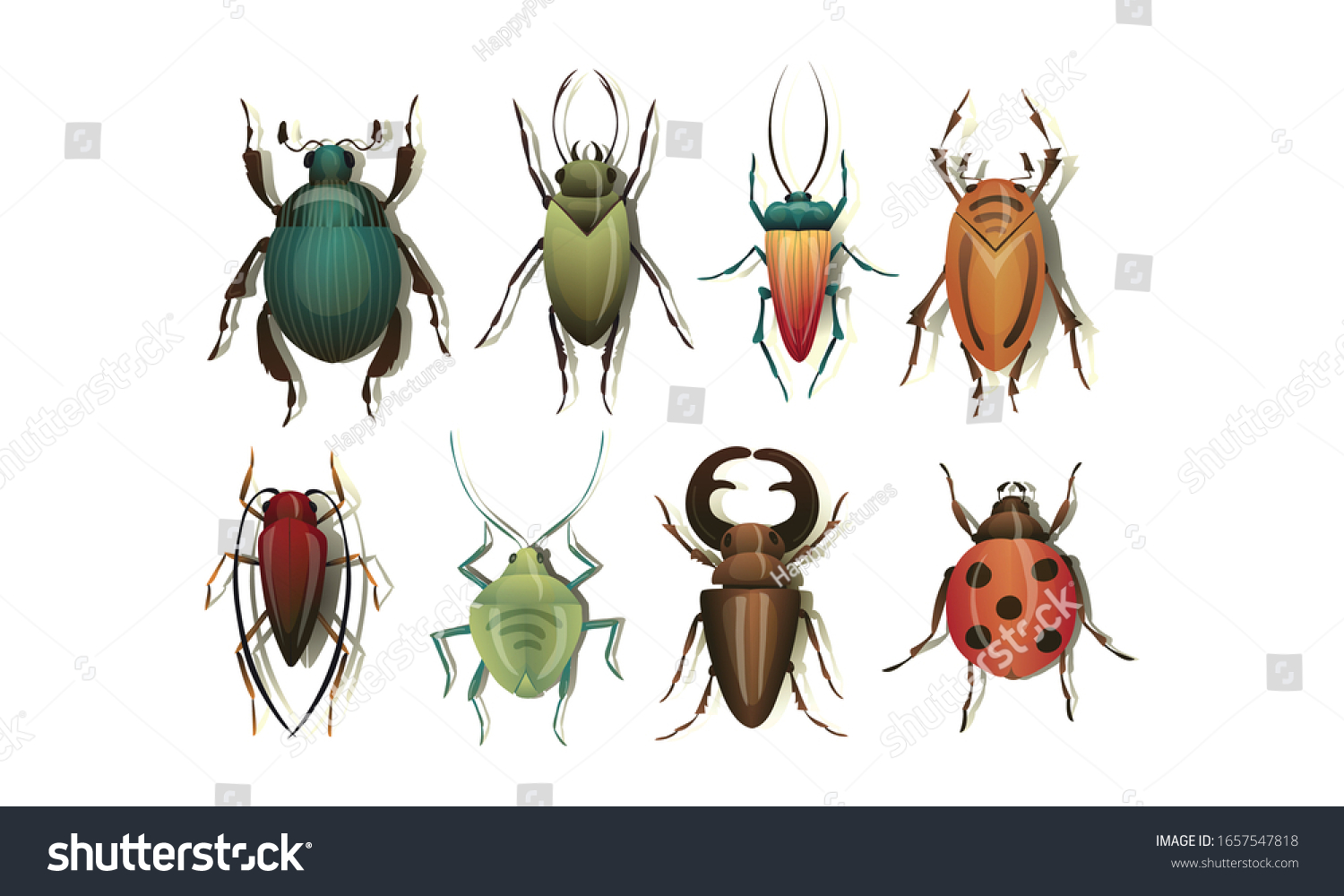 Realistic Bugs Insects Shadows Vector Set Stock Vector (Royalty Free ...