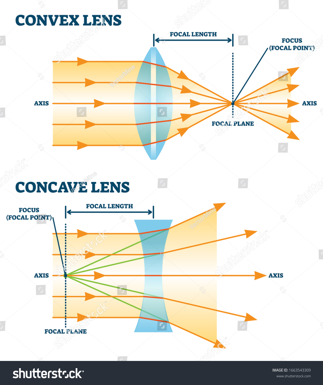 Convex Lens: Definitions, Types, Functions And Difference Between | atelier-yuwa.ciao.jp