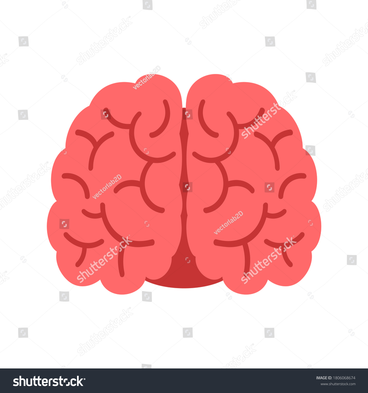 Human Brain Front View Isolated On Stock Vector (Royalty Free ...