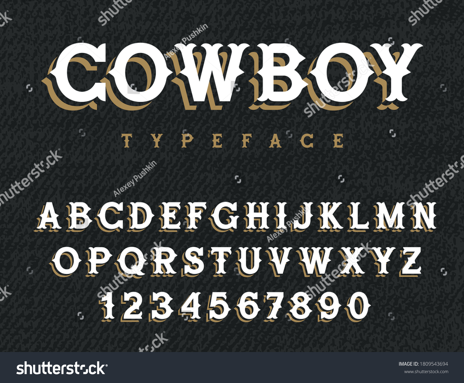 Wild West Typeface Retro Alphabet Western Stock Vector (Royalty Free ...