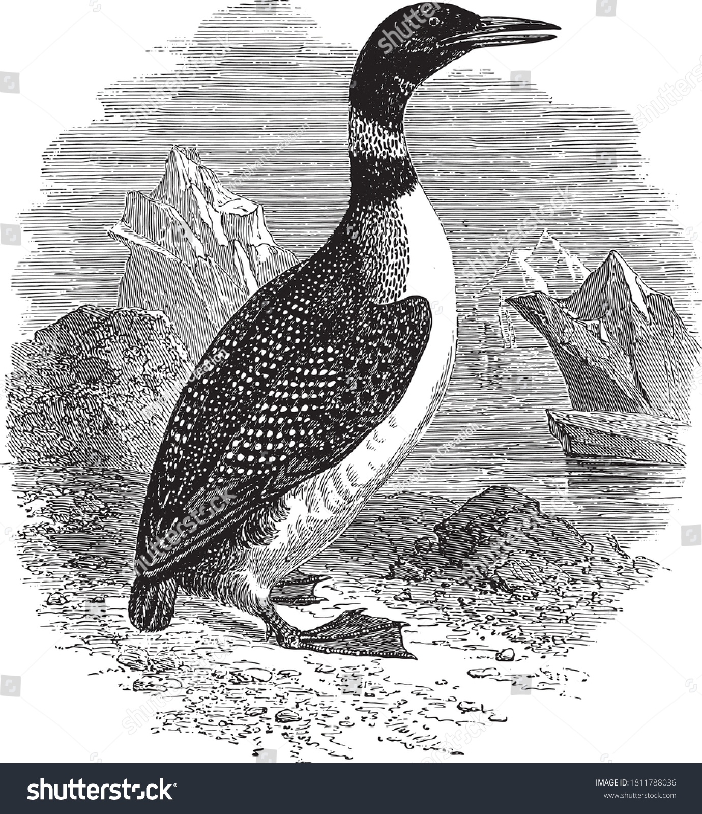 20 Loons Word Loons Images, Stock Photos, and Vectors | Shutterstock