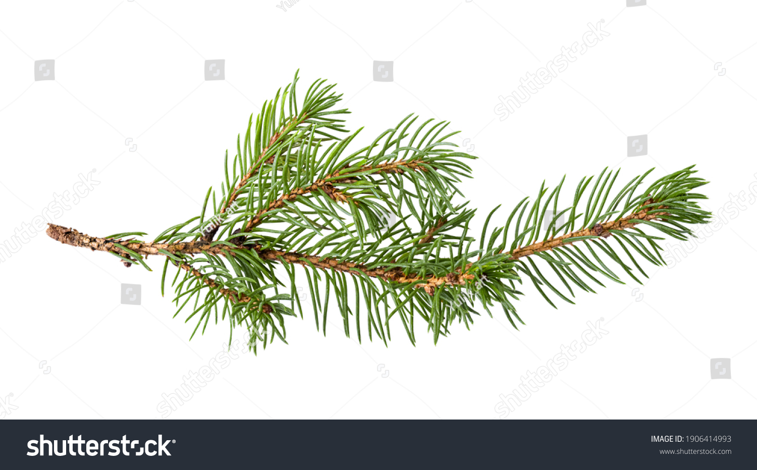 1,367,767 Pine Branch Images, Stock Photos & Vectors | Shutterstock