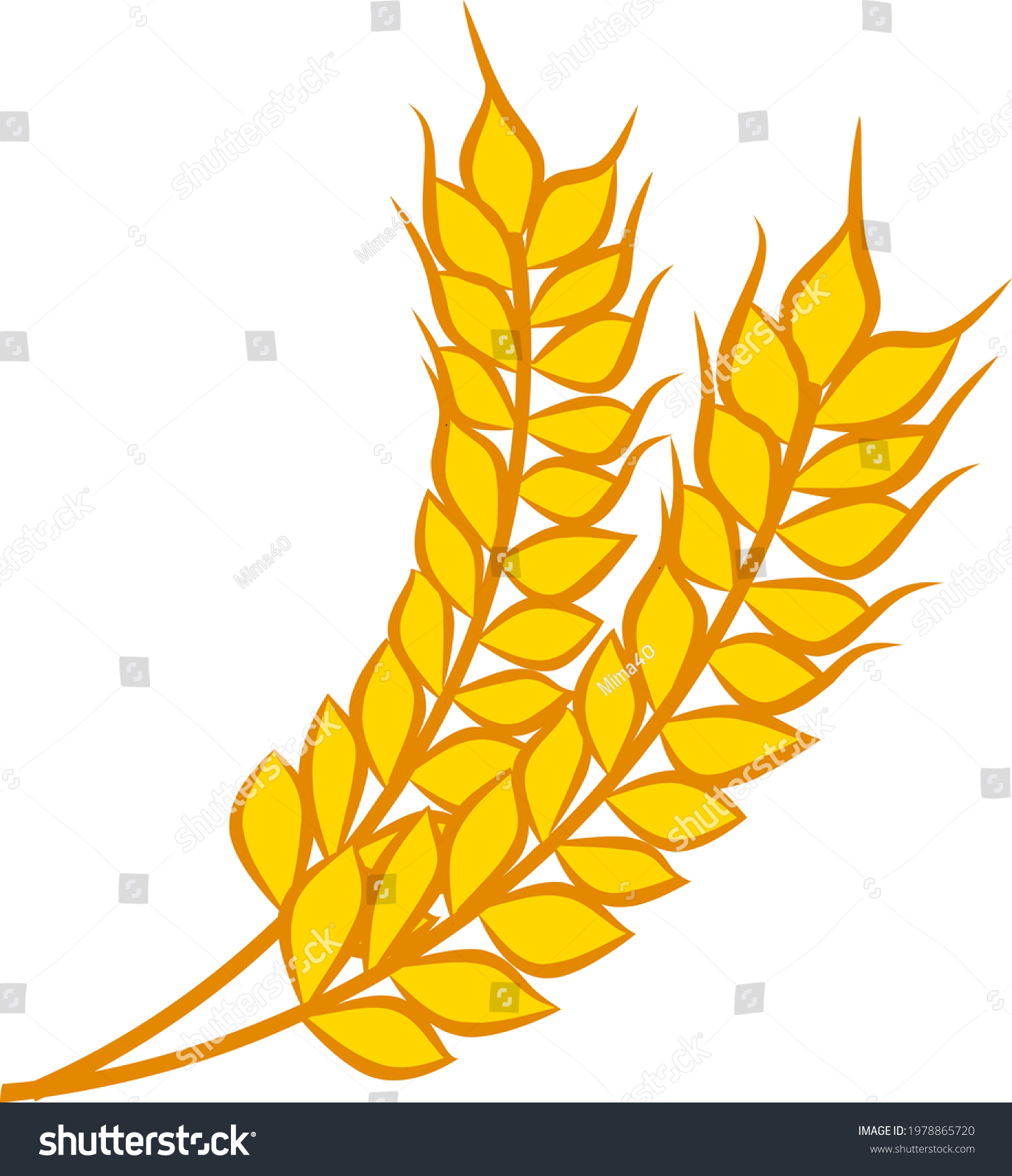 Two Golden Wheat Cartoon Vector Illustration: เวกเตอร์สต็อก (ปลอดค่าลิขสิทธิ์) 1978865720 ...
