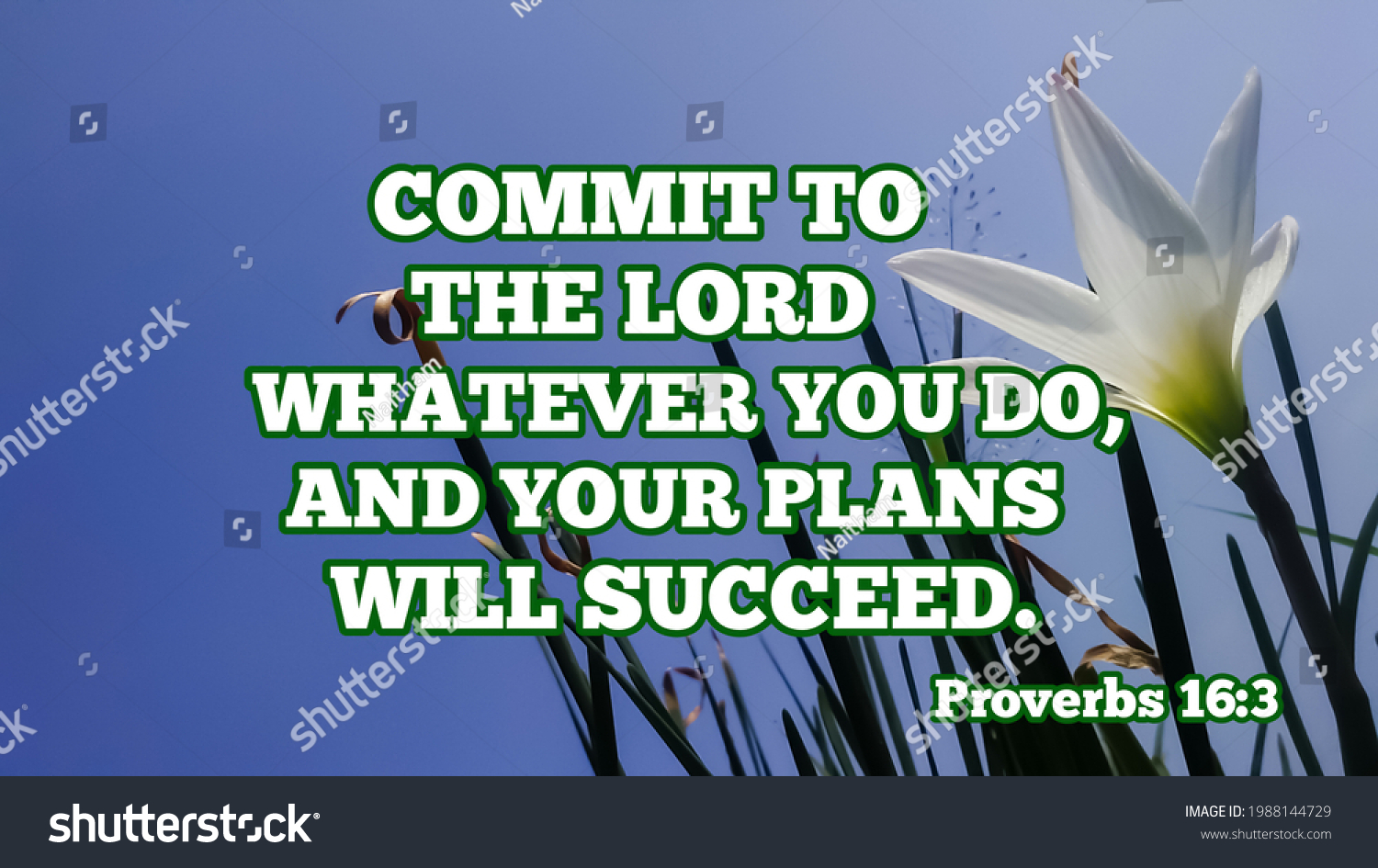 12 Yo Hago Lo Que Me Da La Gana Images, Stock Photos & Vectors ...