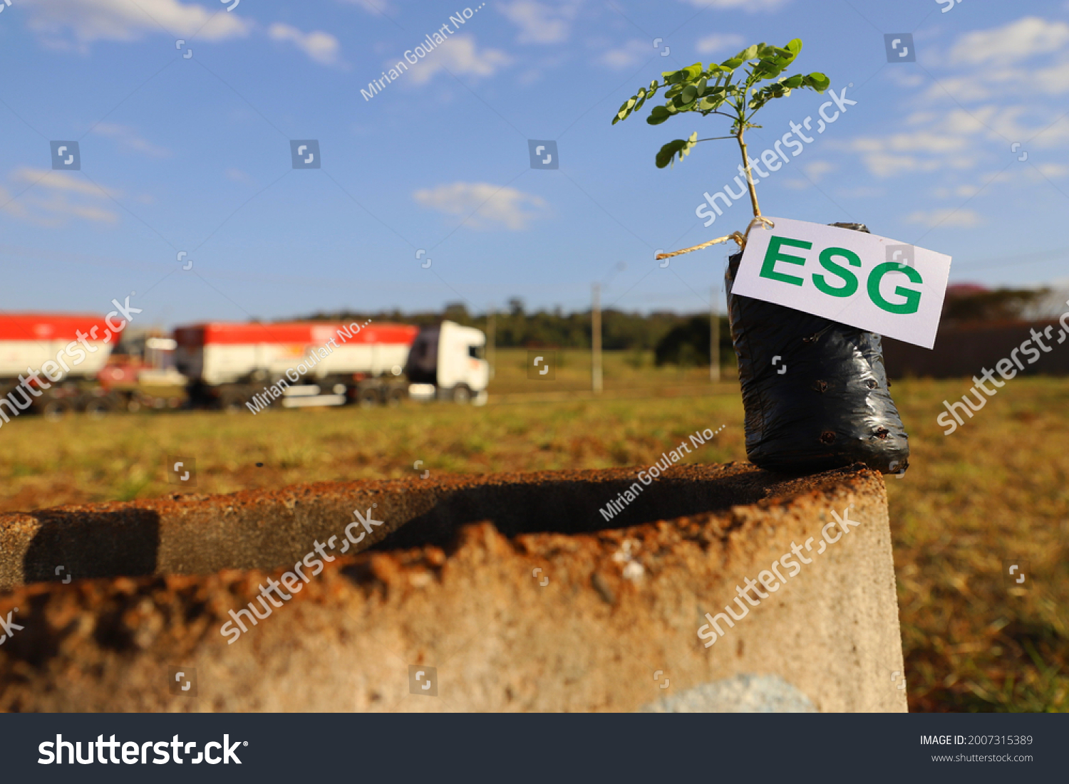 15 Esg post 图片、库存照片和矢量图 | Shutterstock