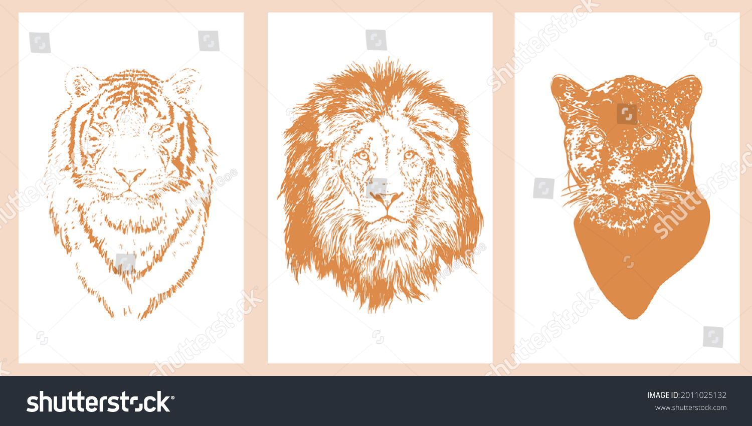 Wild Cats Savana Lion Tiger Panther Stock Vector (Royalty Free ...