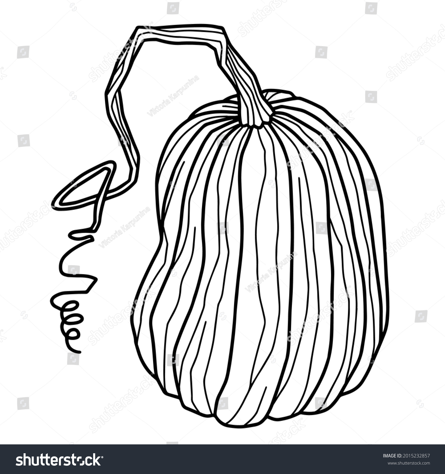 호박의 손으로 그린 선아트 벡터는 하얀 스톡 벡터(로열티 프리) 2015232857 | Shutterstock