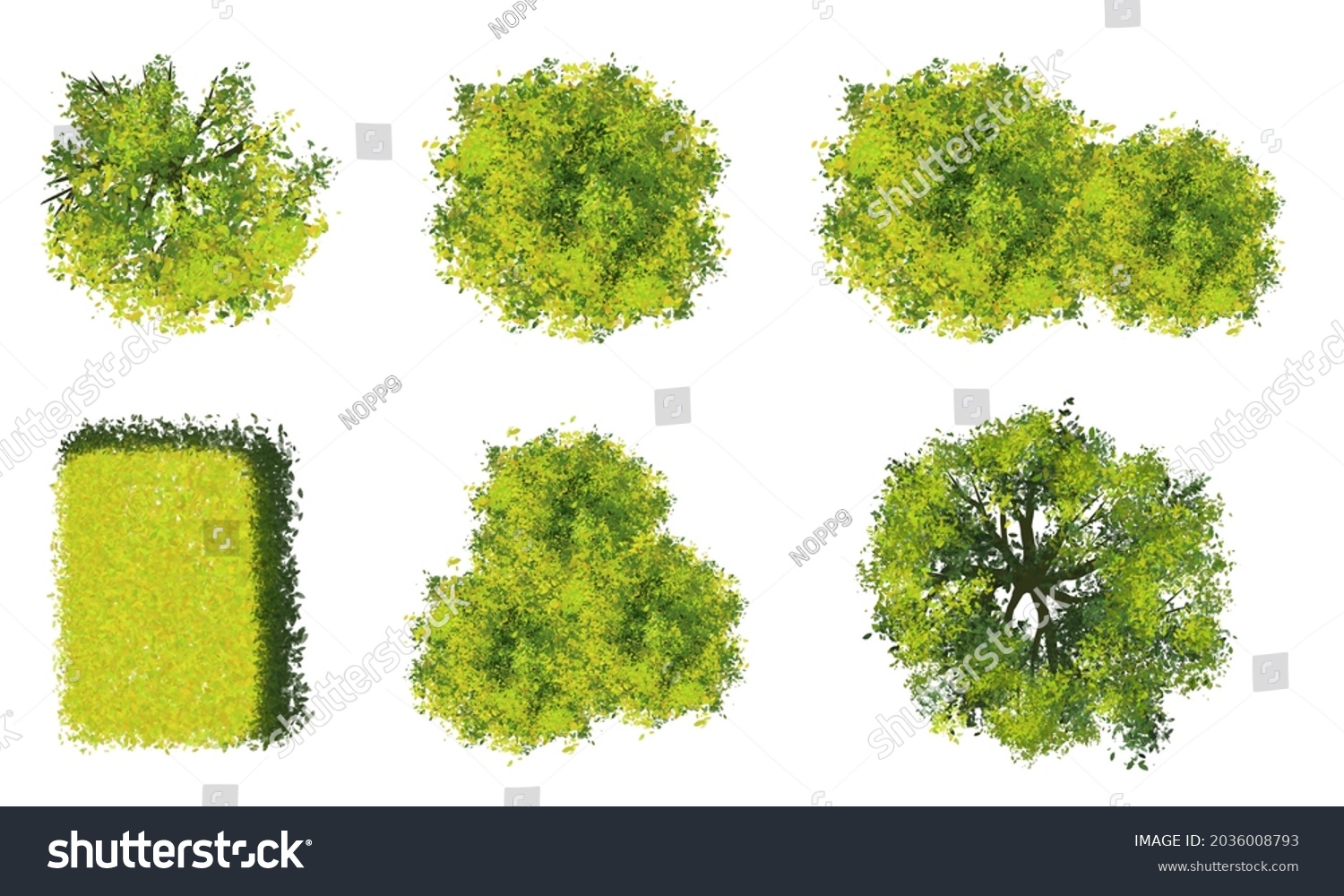 6,285 Plan View Trees Isolated Images, Stock Photos & Vectors ...