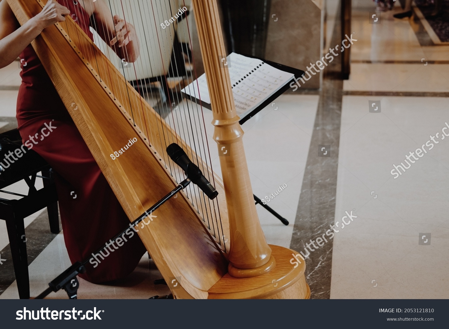Celtic Harpist