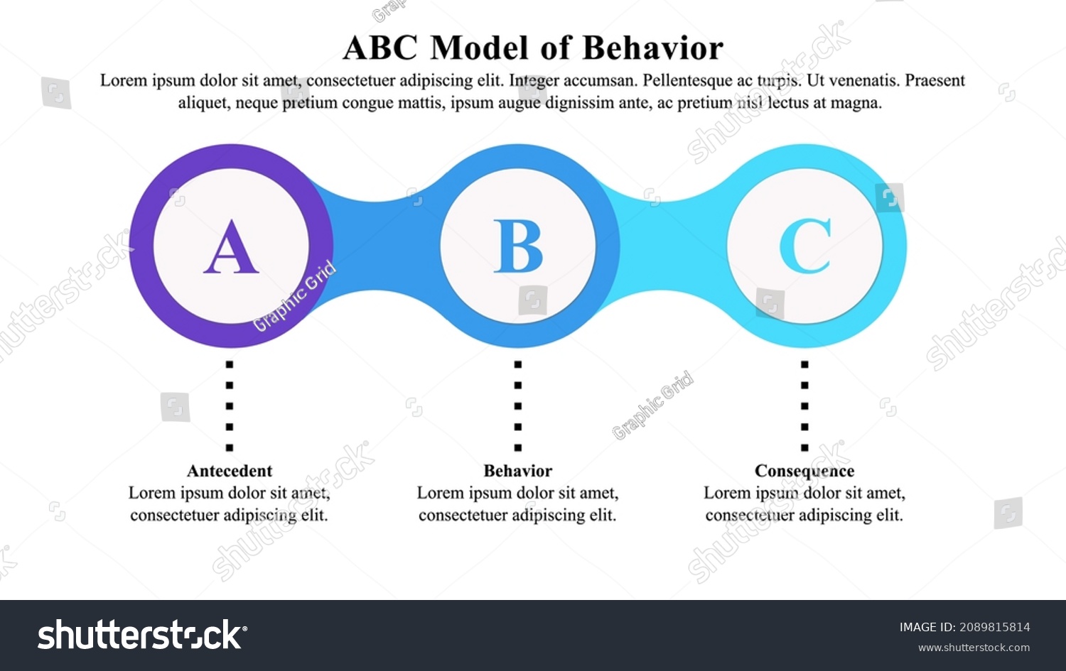  ABC 2089815814 Shutterstock
