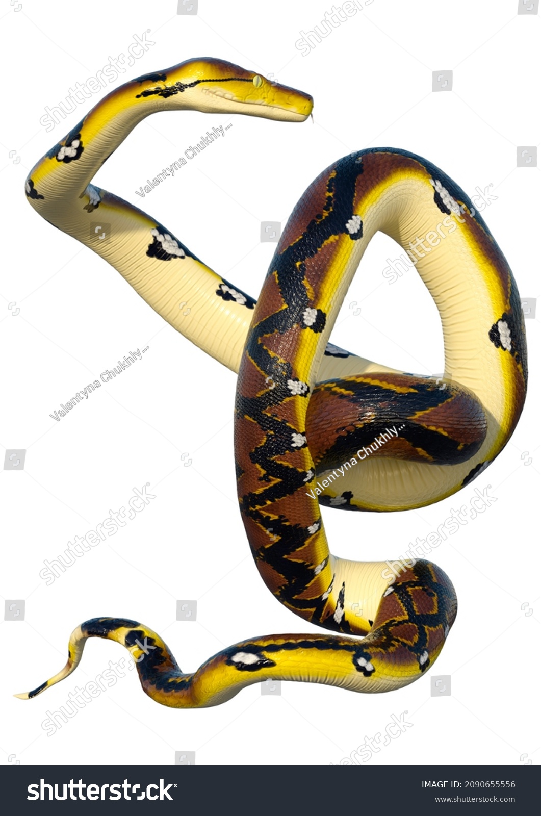 3d Rendering Reticulated Python Python Reticulatus Stock Illustration ...