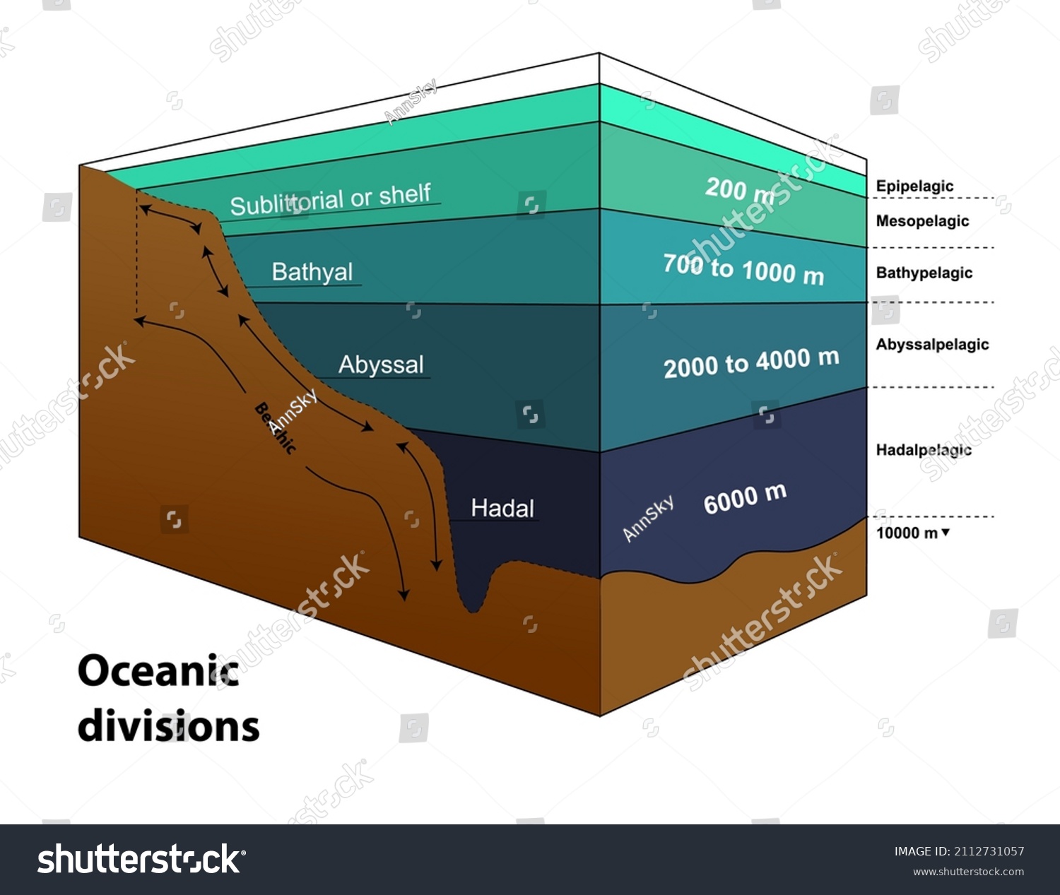 Oceanic Zone Diagram