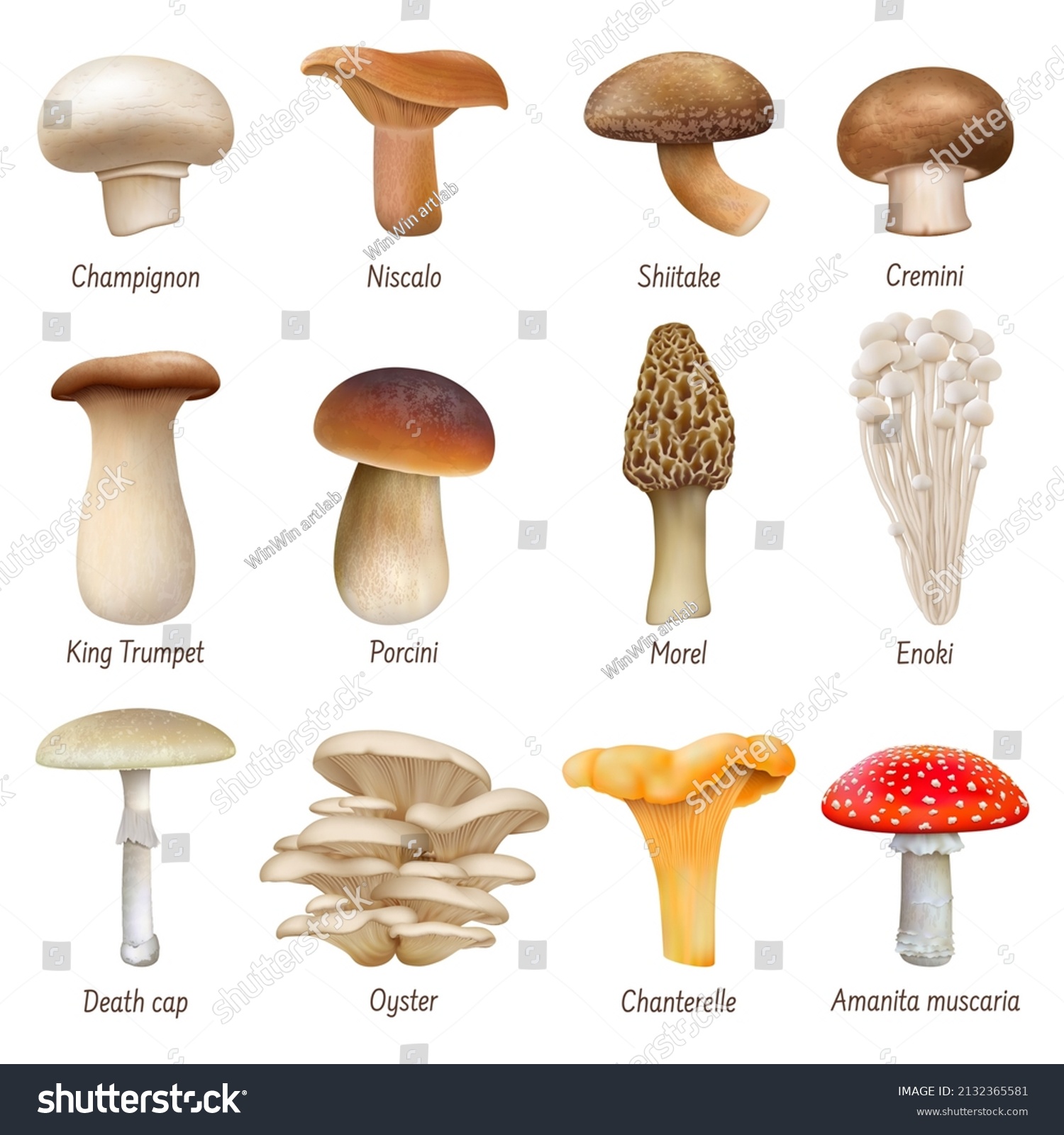 History Of Edible Mushrooms The History Kitchen PBS Food 49 OFF