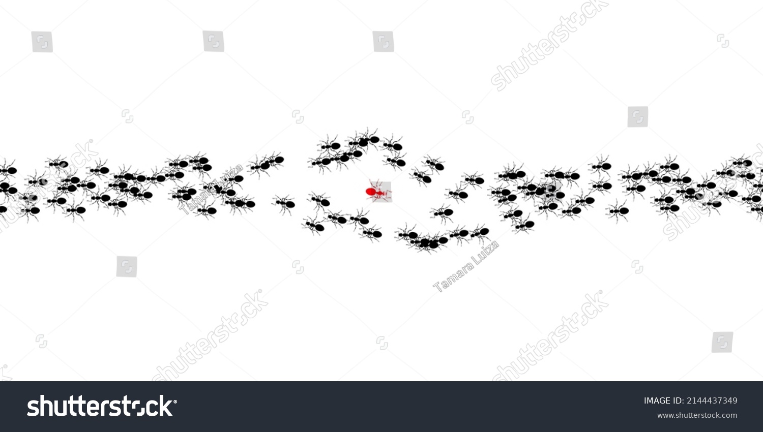 Colony Ant Workers Ants Marching One Stock Vector (Royalty Free) 2144437349 | Shutterstock
