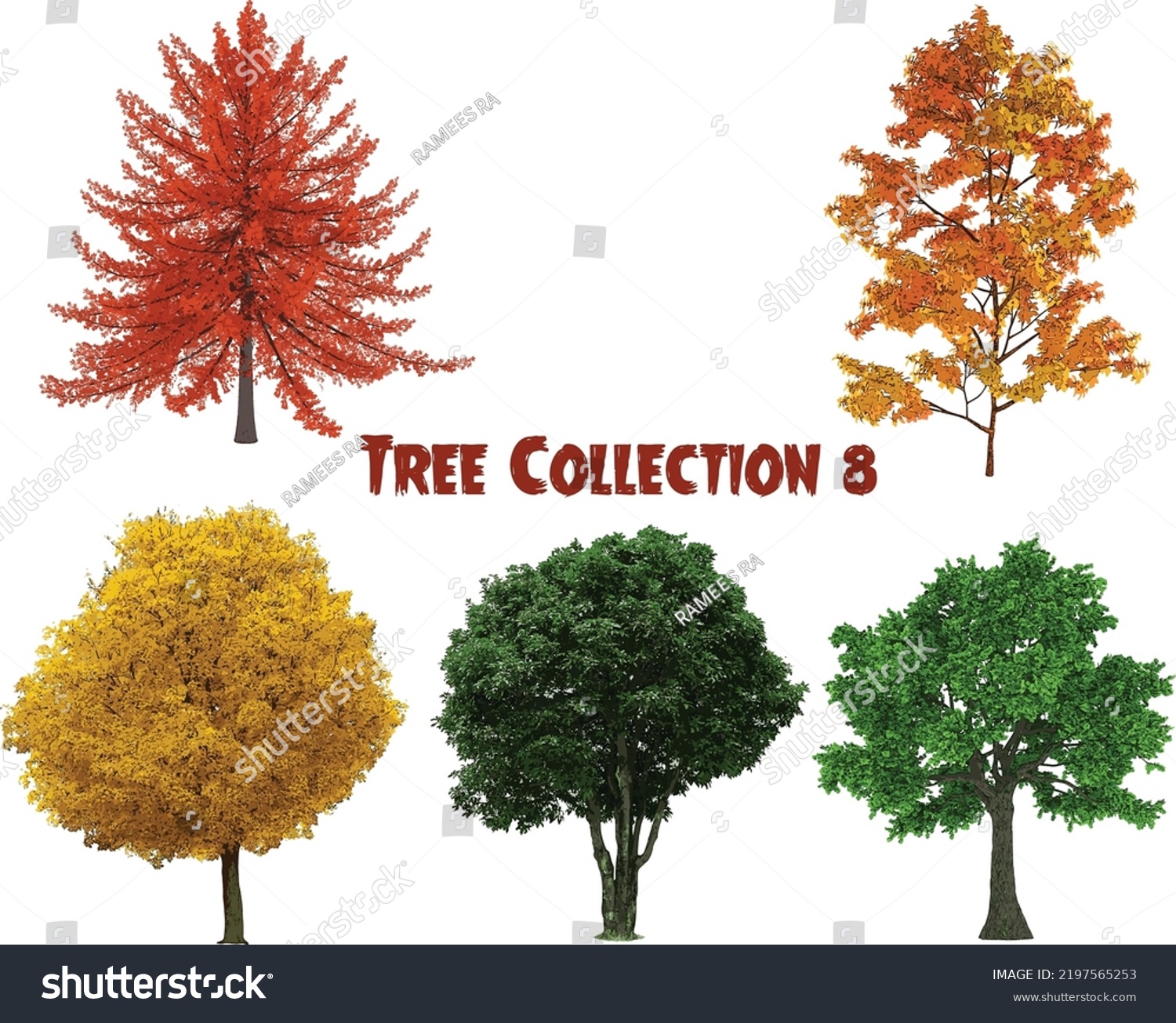 Vector Set Tree Collection Stock Vector (Royalty Free) 2197565253 ...
