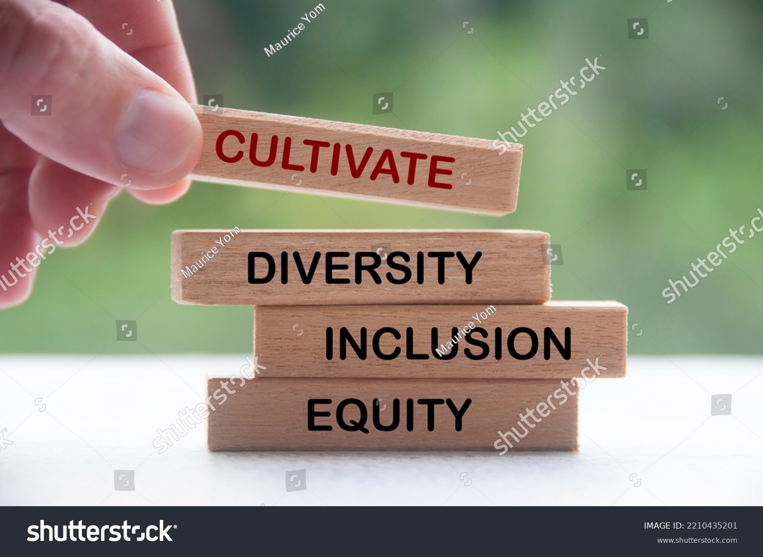 663 Diversity Equity Inclusion Work Images, Stock Photos & Vectors | Shutterstock