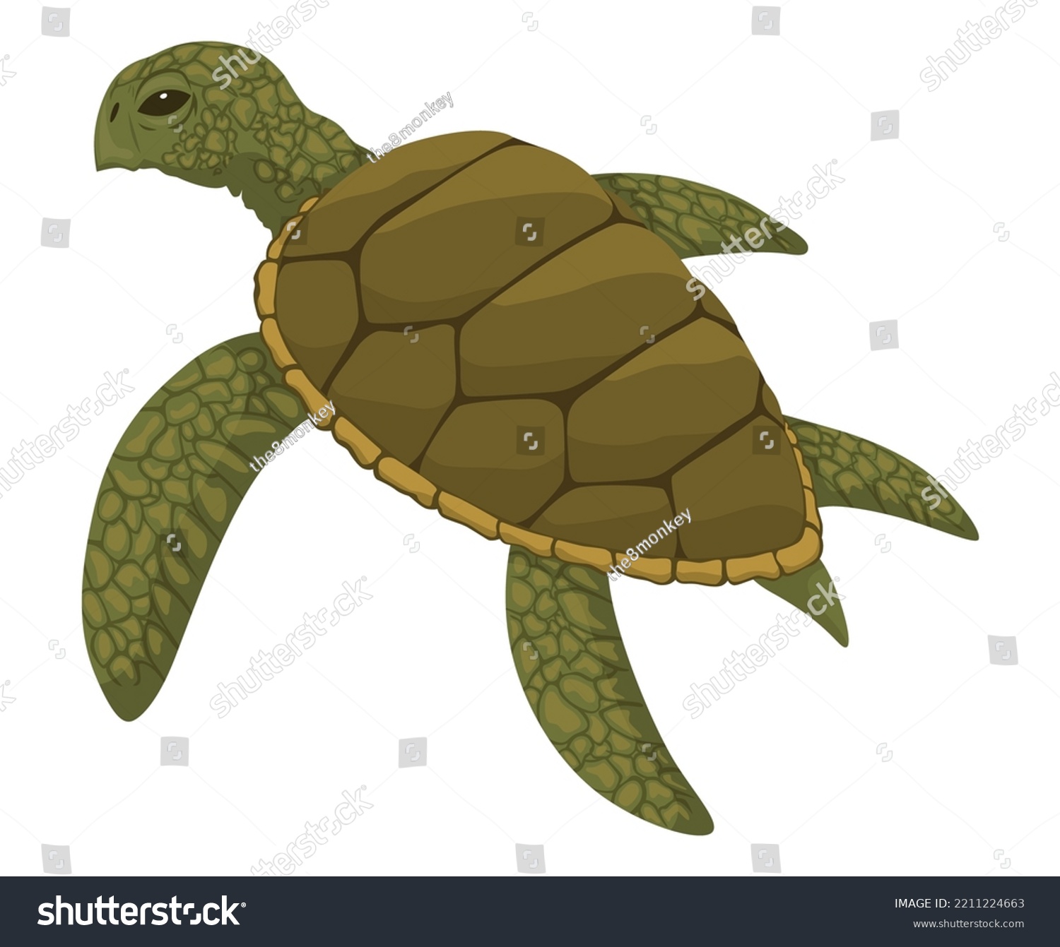 Sea Turtle Life Cycle Stage Wild Stock Vector (Royalty Free) 2211224663 ...
