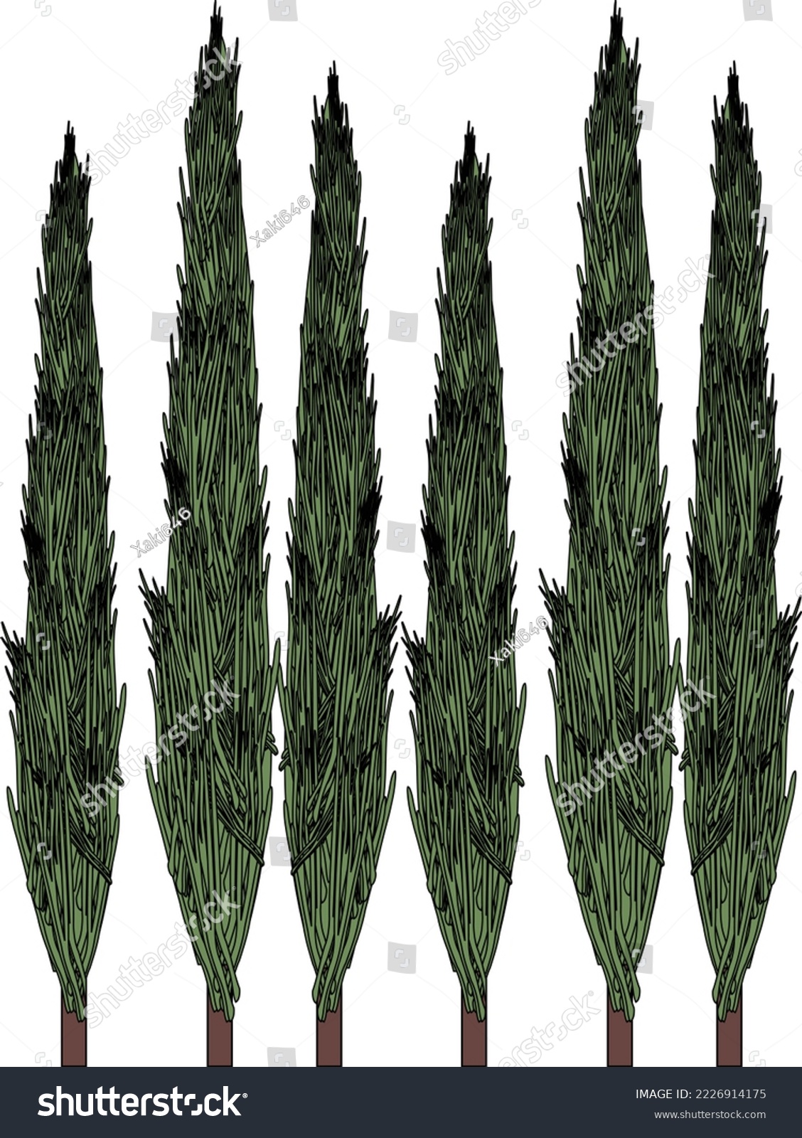 Green Cypress Tree Vector Illustration Isolated Stock Vector (Royalty ...