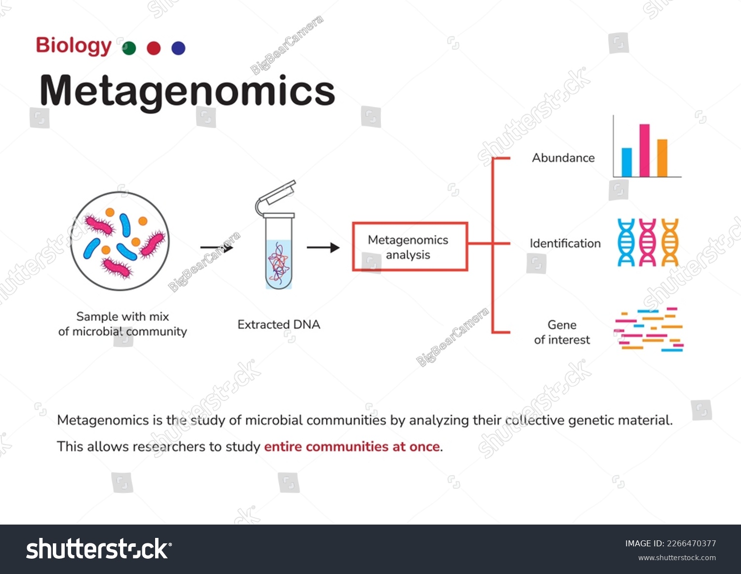 Biology Diagram Show Concept Metagenomics That Stock Vector (Royalty Free) 2266470377 | Shutterstock