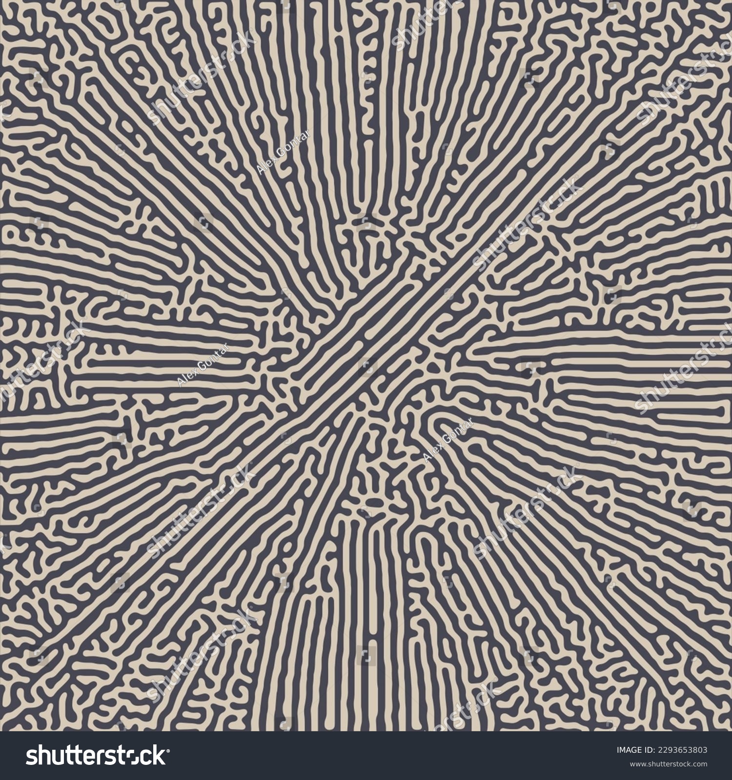 Radial Turing Pattern Reaction Diffusion Texture Stock Vector Royalty