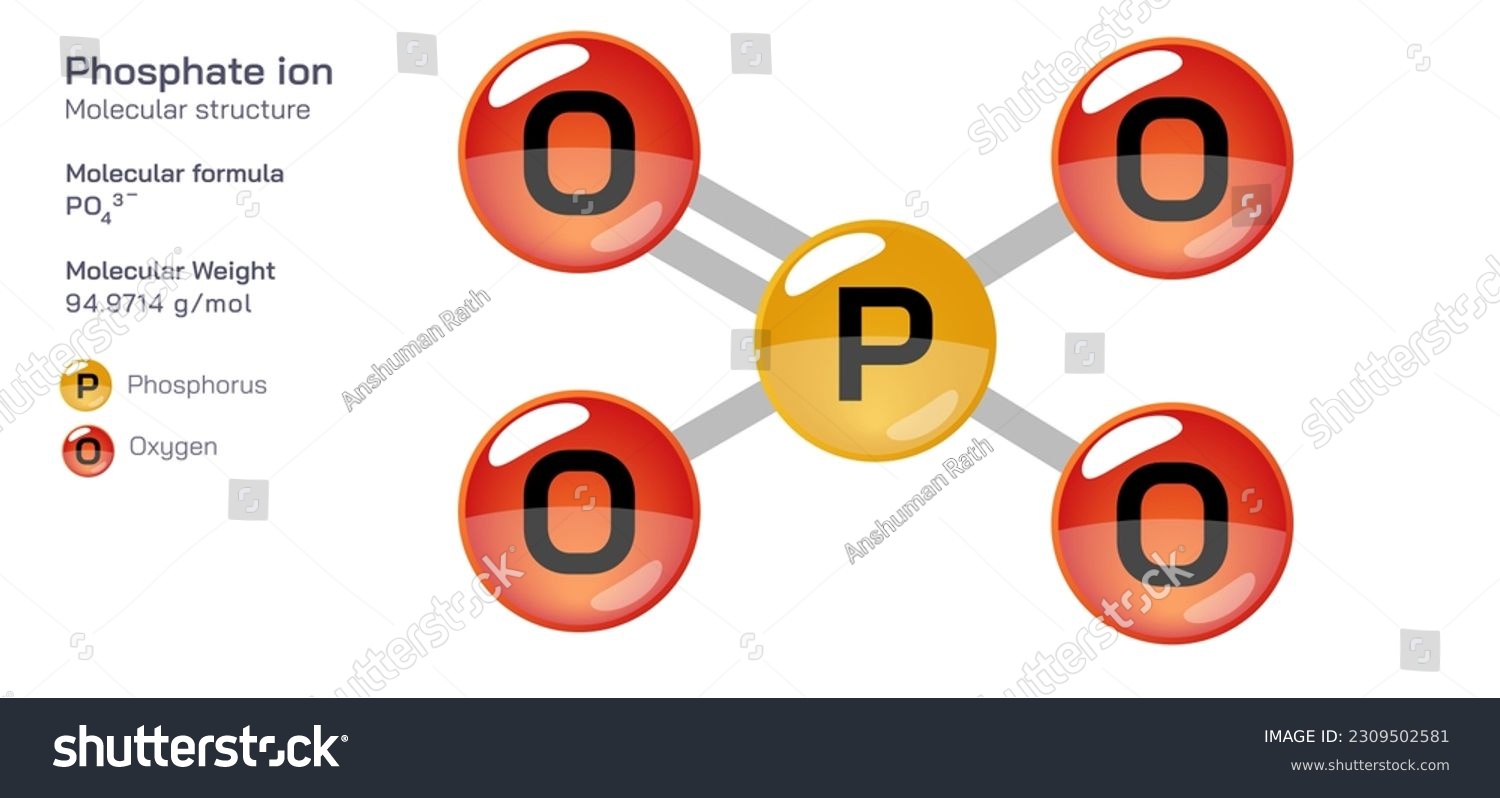 Phosphorus Ion
