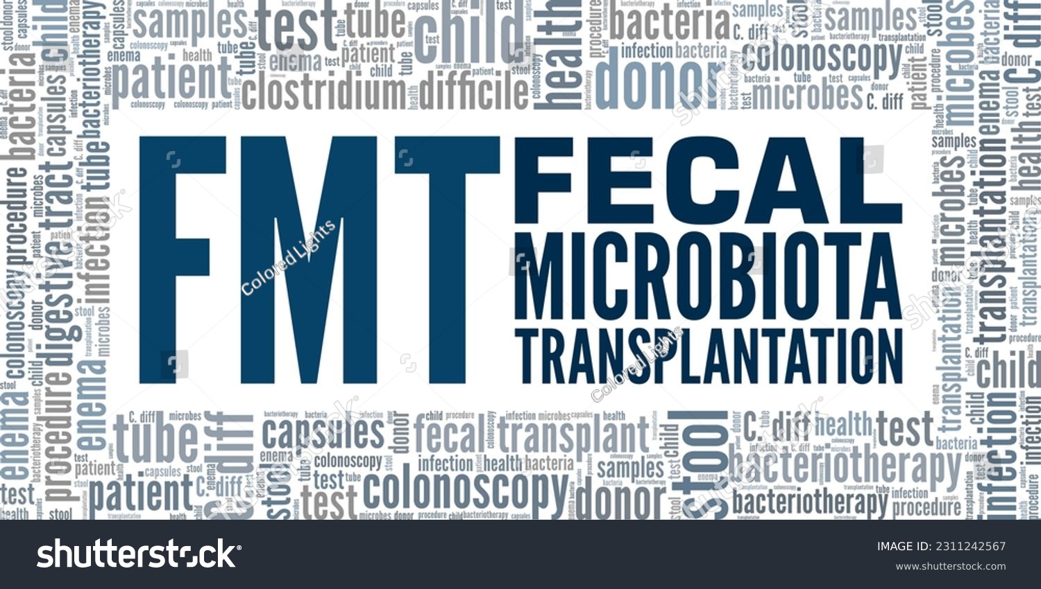 Fmt Fecal Microbiota Transplantation Word Cloud Stock Vector (Royalty Free) 2311242567 ...