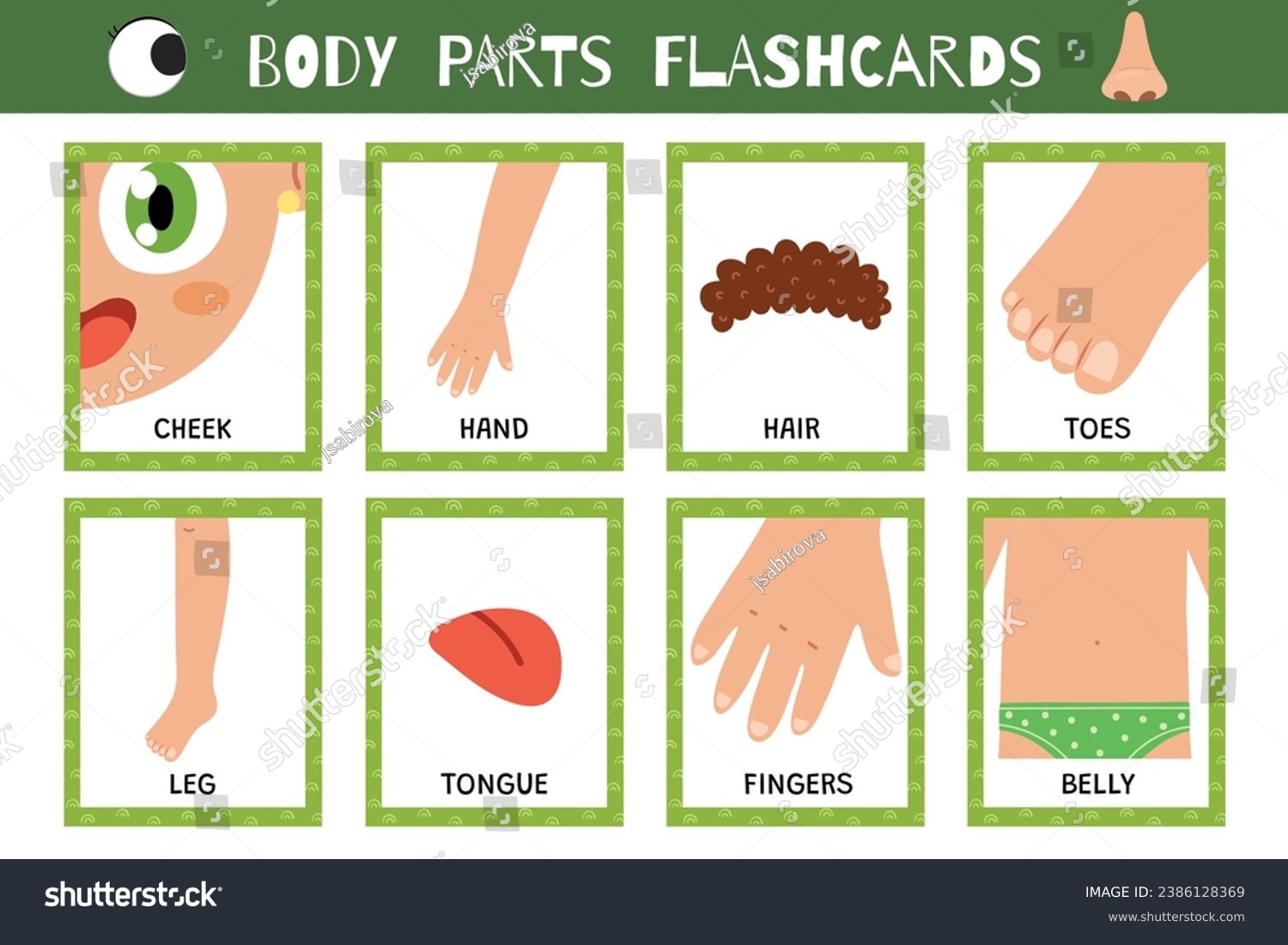 Body Parts Flashcards Collection Flash Cards Stock Vector (Royalty Free ...