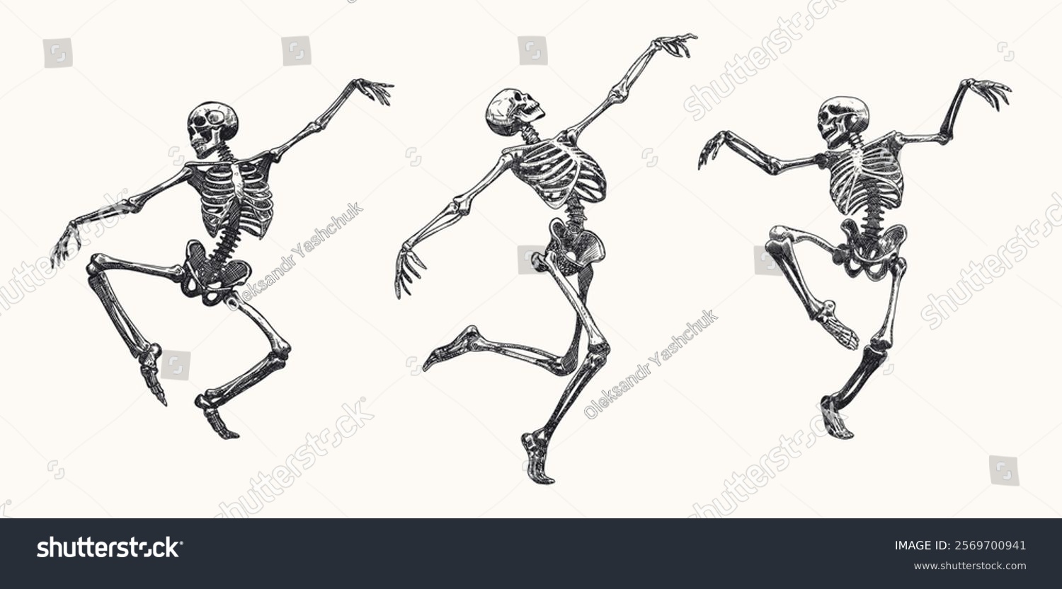 Skeletons Set Isolated Various Dynamic Poses Stock Vector (Royalty Free ...