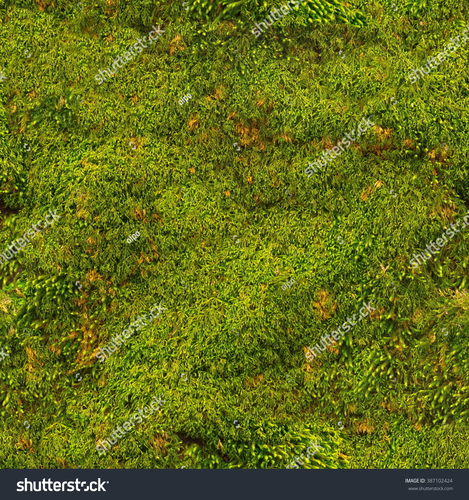 Moss Texture Tileable