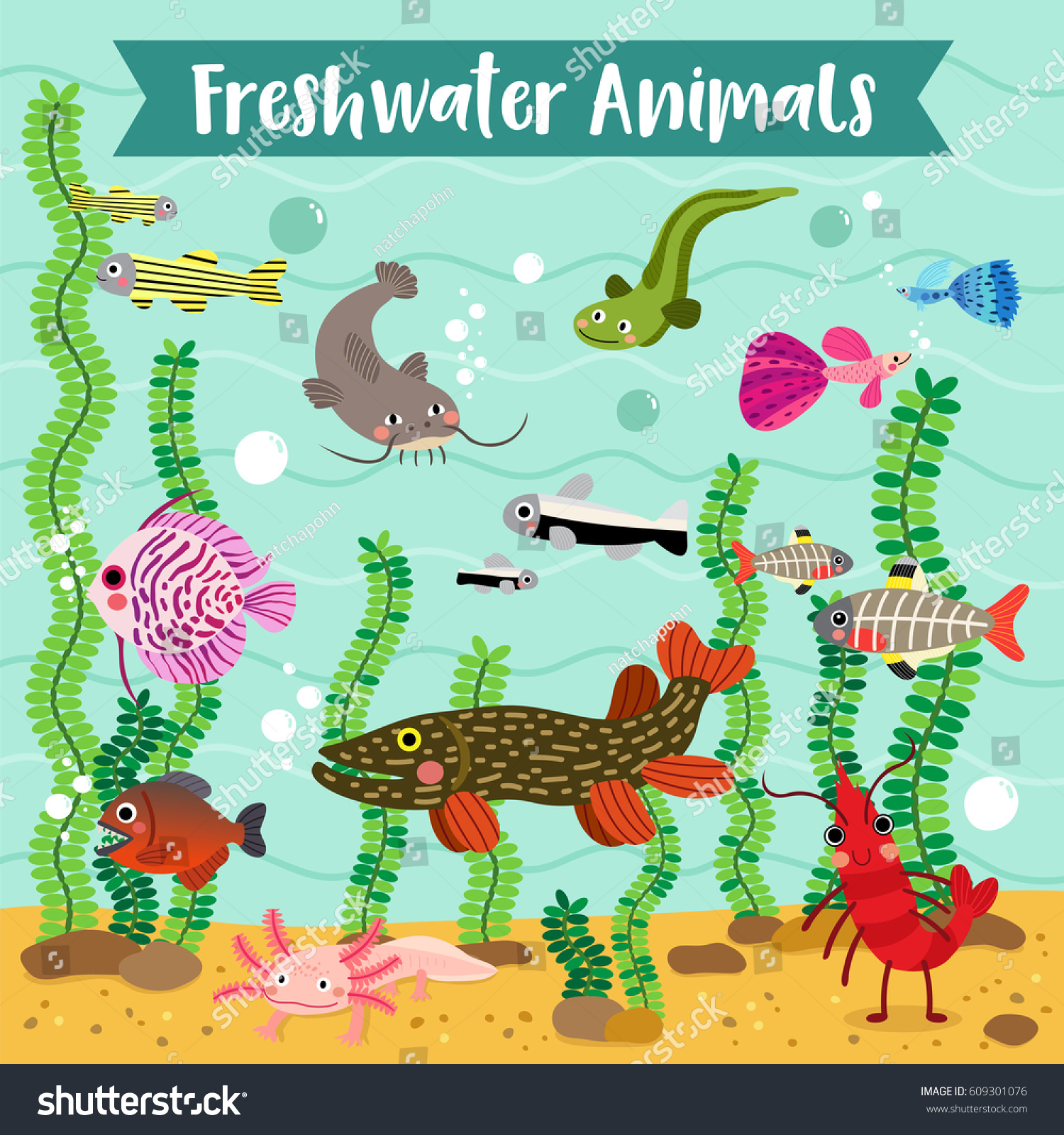 Freshwater Animals