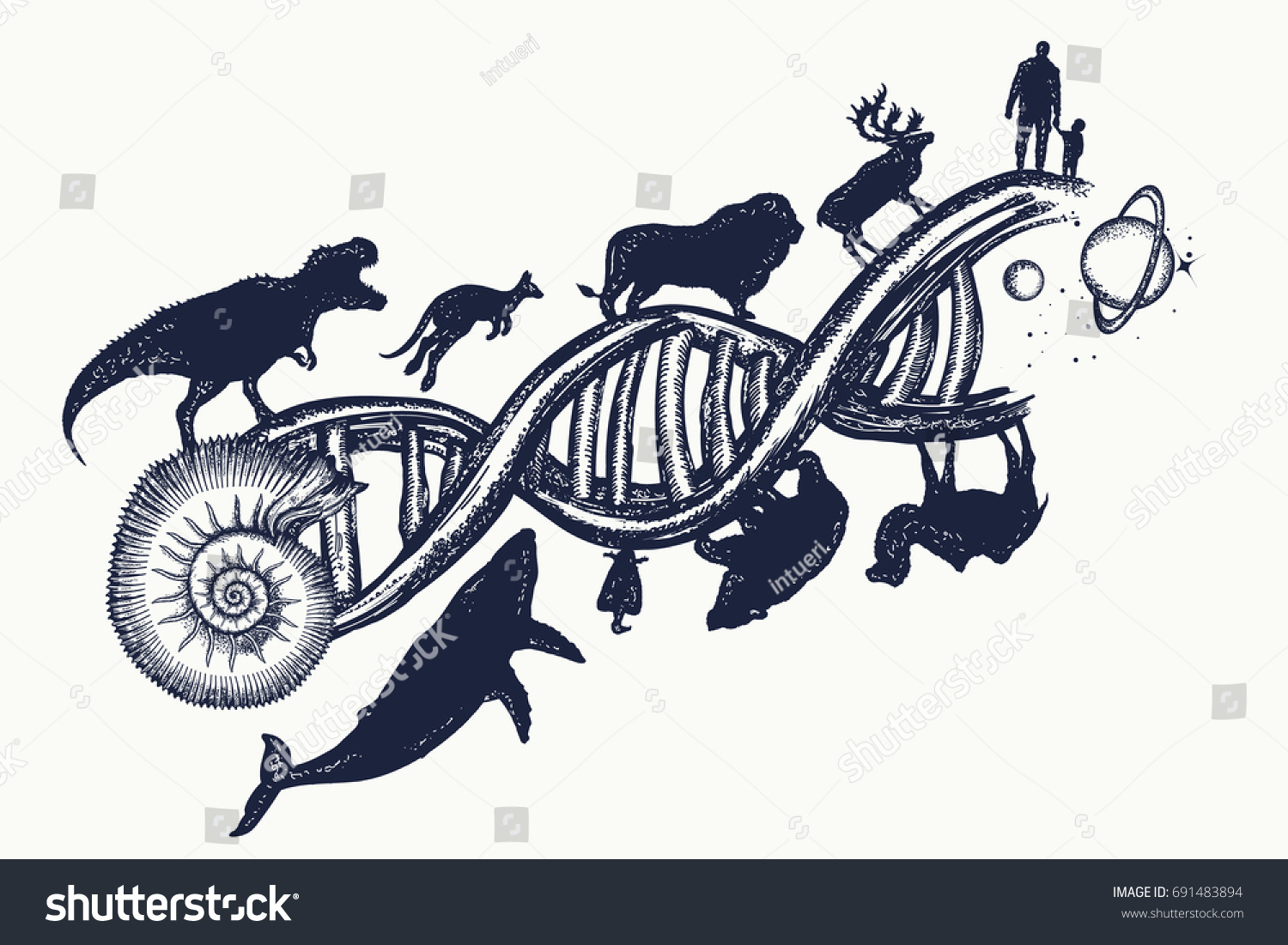 108,585 Evolution Biology Images, Stock Photos & Vectors | Shutterstock