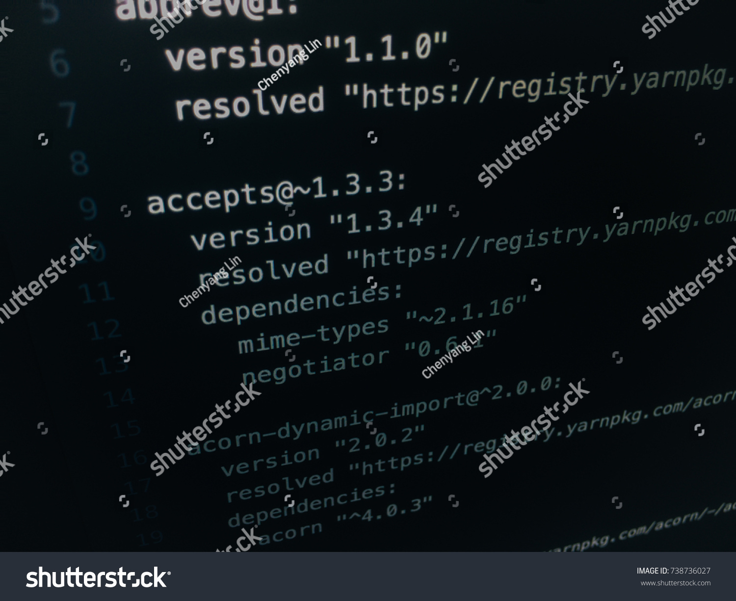 Software Development Software Source Code Programming Stock Photo 738736027 | Shutterstock