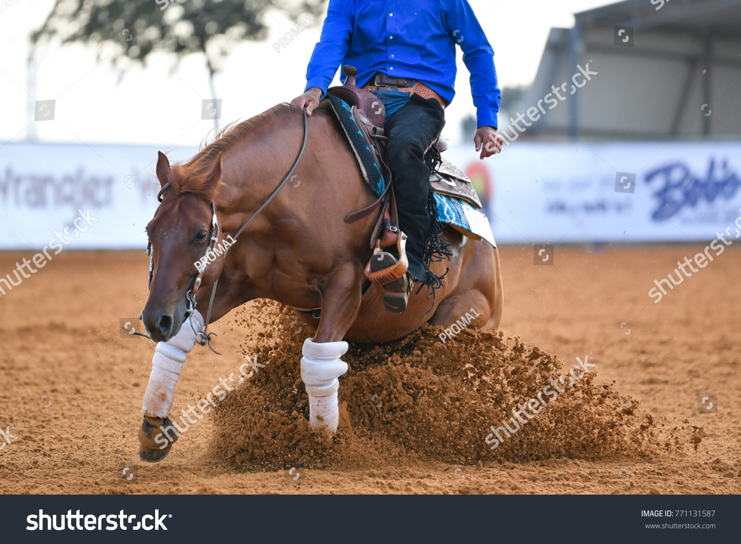 661 Horse Sliding Stop Cowboy Images, Stock Photos & Vectors | Shutterstock